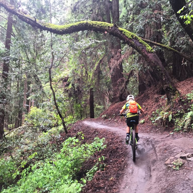 The Complete Guide to Galbraith Mountain Biking | Pedal Adventures