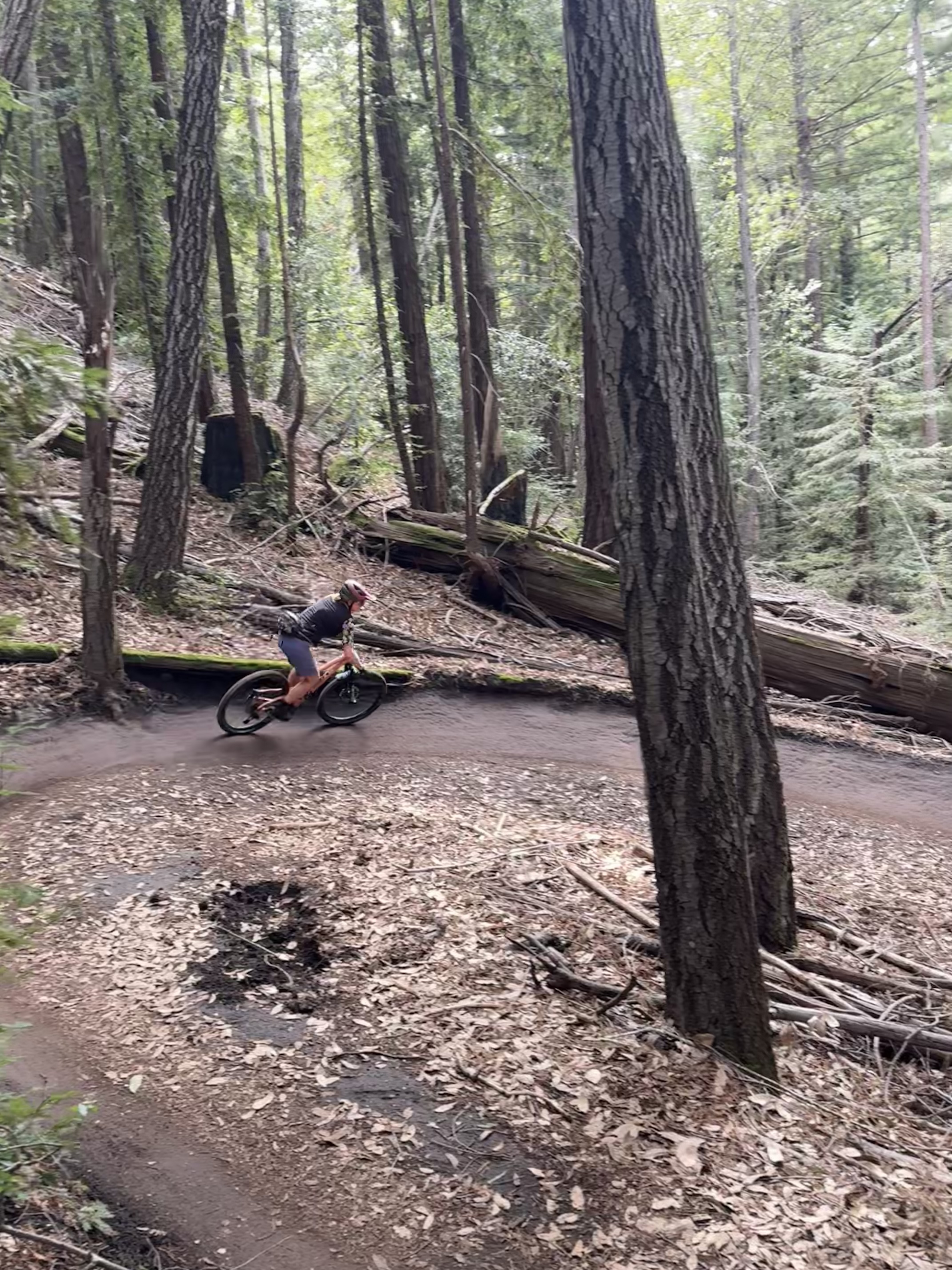 Mountain Biking the Santa Cruz Flow Trail | Pedal Adventures