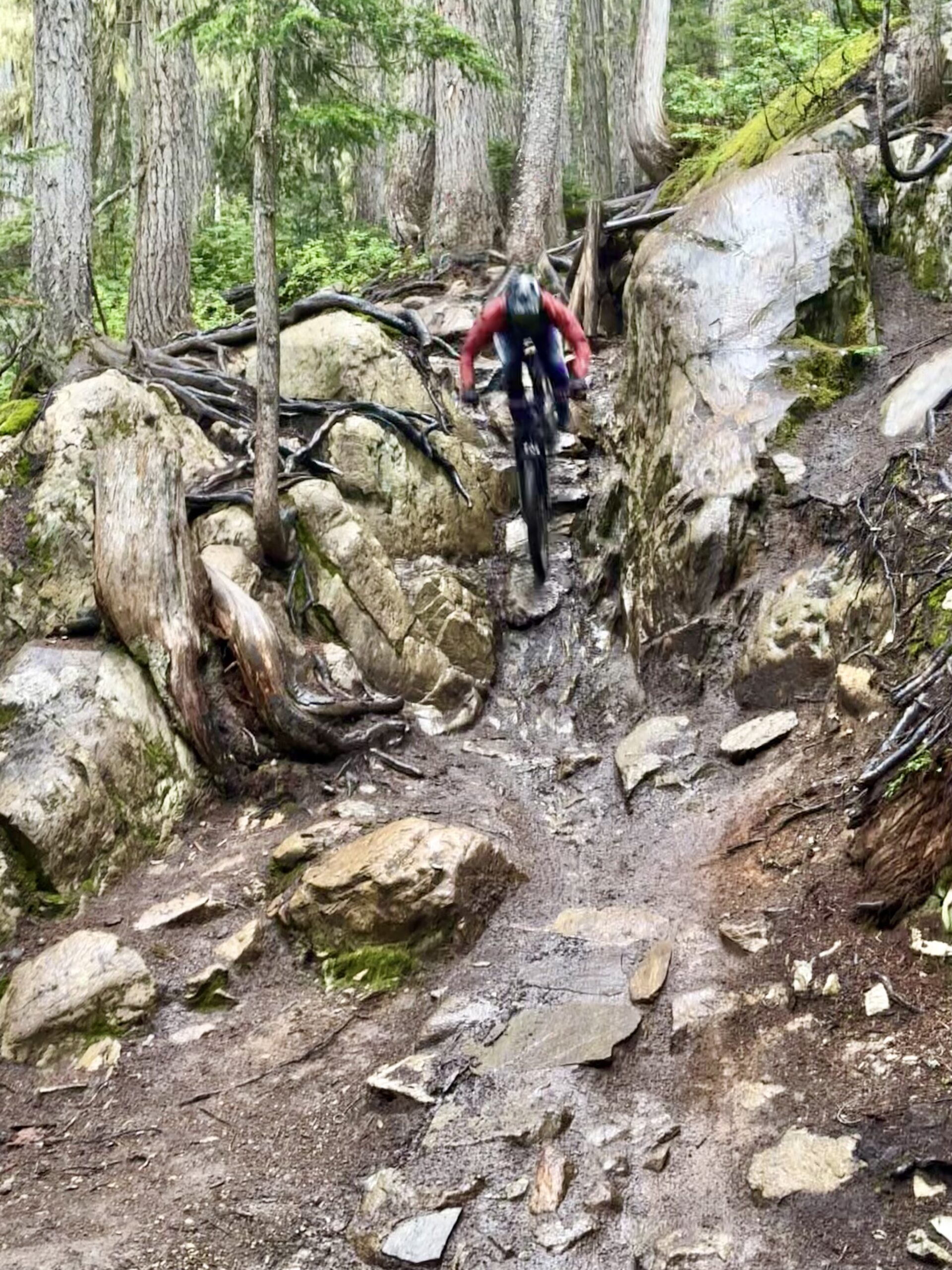 Complete Guide to Mountain Biking in Whistler | Pedal Adventures